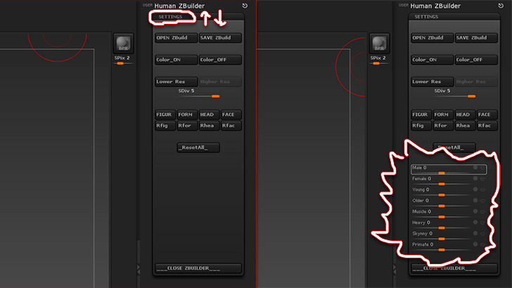 ZBrushでCGキャラクターの素体生成が出来る！低価格ツール『Human ZBuilder for Zbrush』。インストール方法も解説 ...